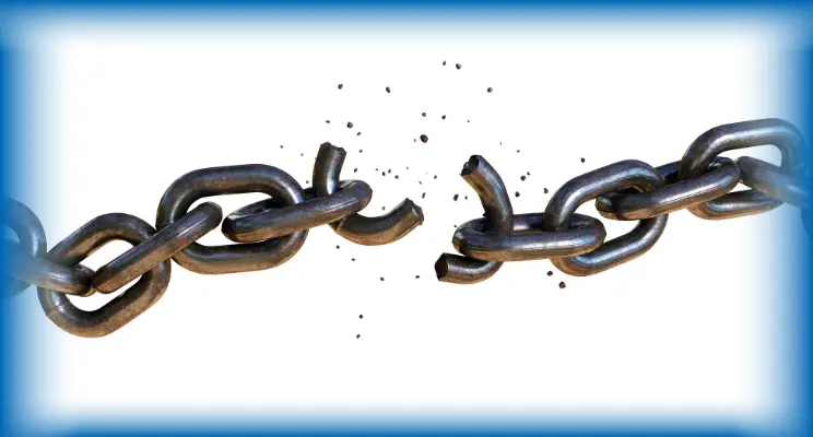 Cold Chain: Never Break the Chain | Efficient logistics with SFDA-app roved